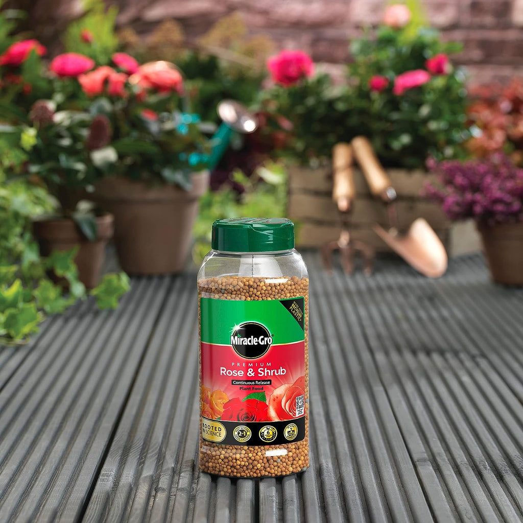 Miracle-Gro Premium Rose & Shrub Continuous Release Plant Food 900g – Ample