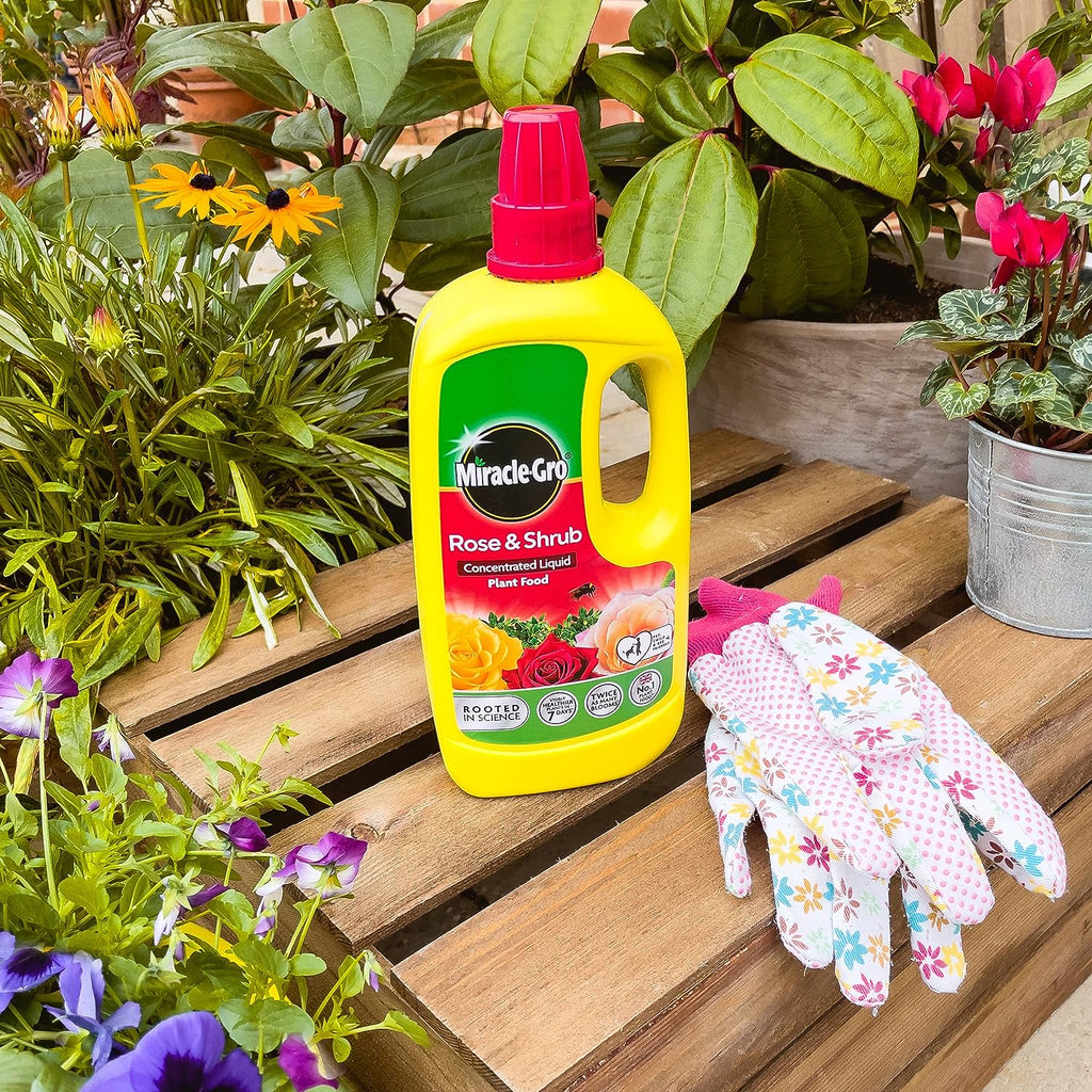 Miracle-Gro Rose & Shrub Concentrated Liquid Plant Food 800ml – Ample