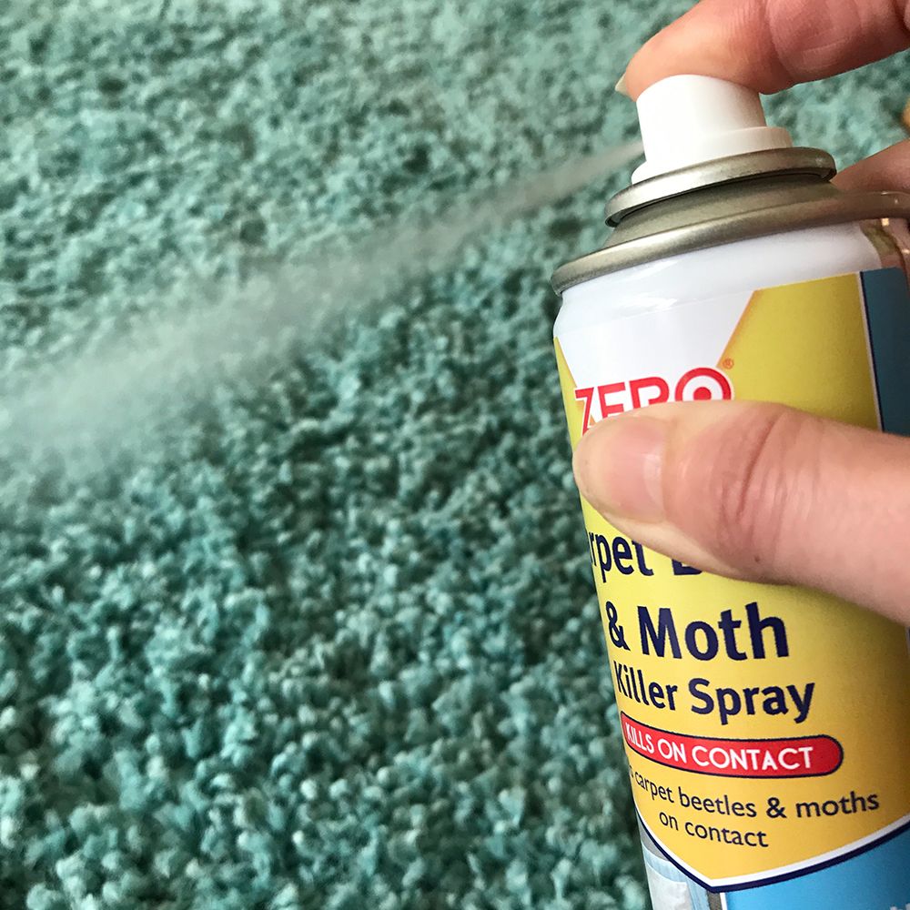 Zero In Carpet Beetle & Moth Killer - 300ml Aerosol – Ample
